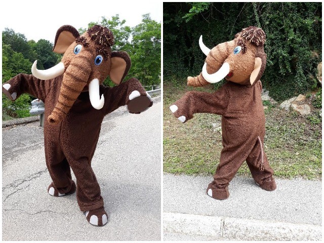Maskote - Izdelava maskot - Maskote po naročilu-za marketing in animacijo