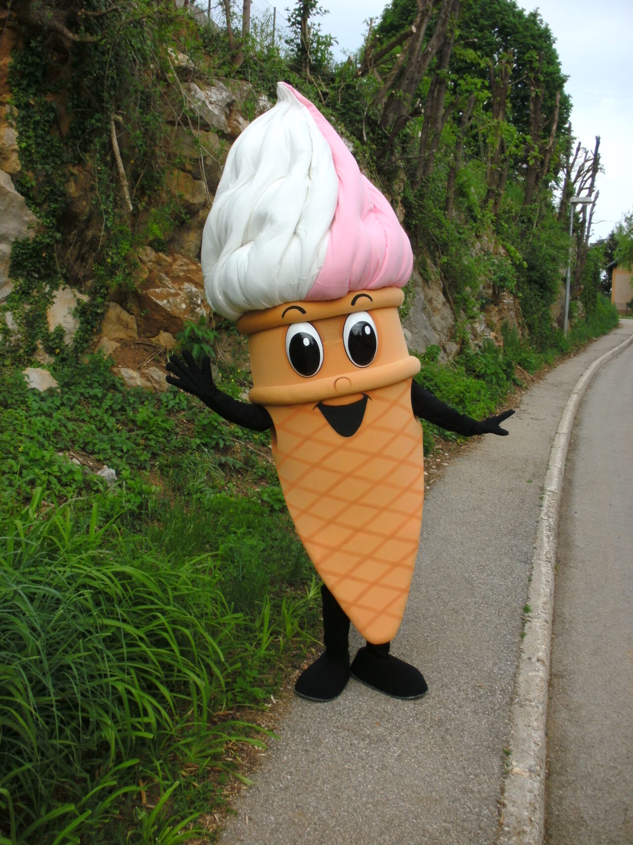 Maskota sladoled - Maskote