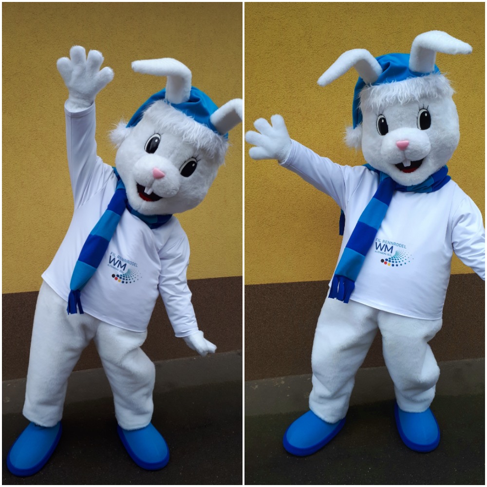 Maskote - Izdelava maskot - Maskote po naročilu-za marketing in animacijo